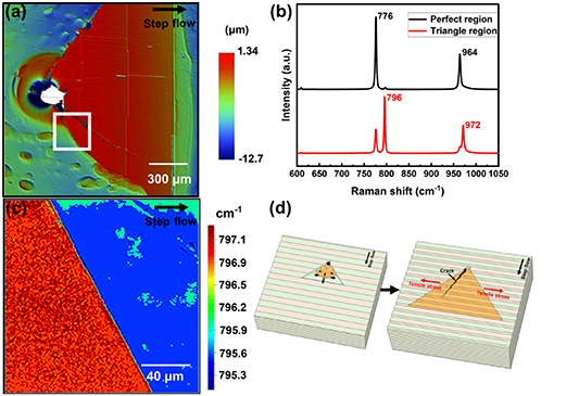 Formation mechanism of dislocation half-loop array in 4H-SiC epitaxial layers: effect of ...