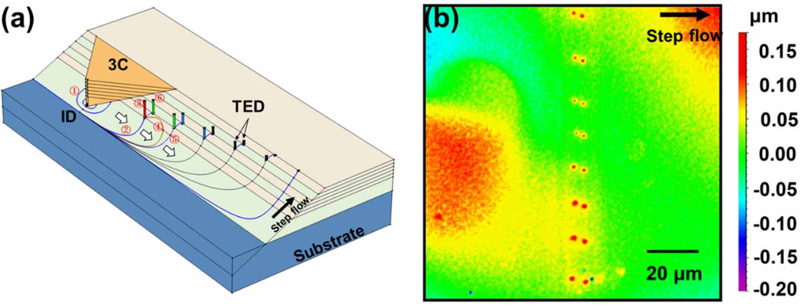 Formation mechanism of dislocation half-loop array in 4H-SiC epitaxial layers: effect of ...