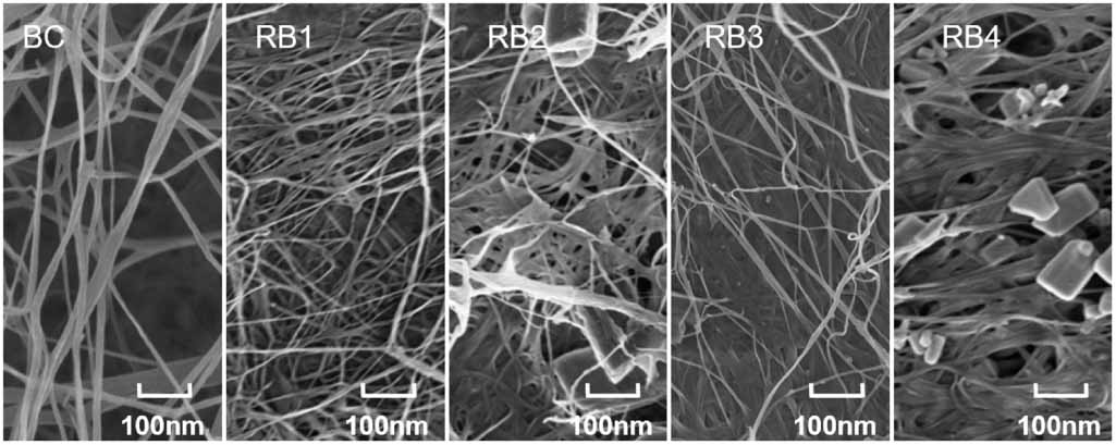 Enhanced dielectric properties and energy density of polypropylene ...