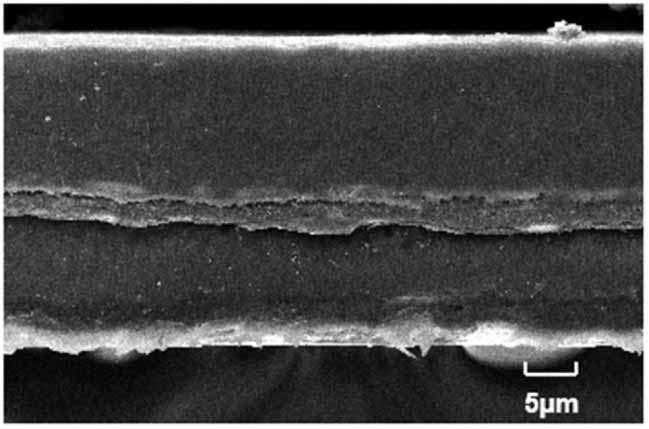 Enhanced dielectric properties and energy density of polypropylene ...