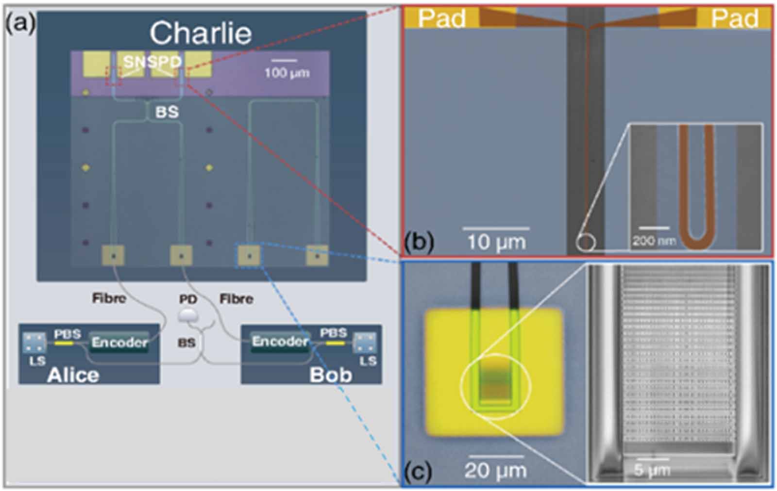 Waveguide integrated superconducting nanowire single-photon detectors ...