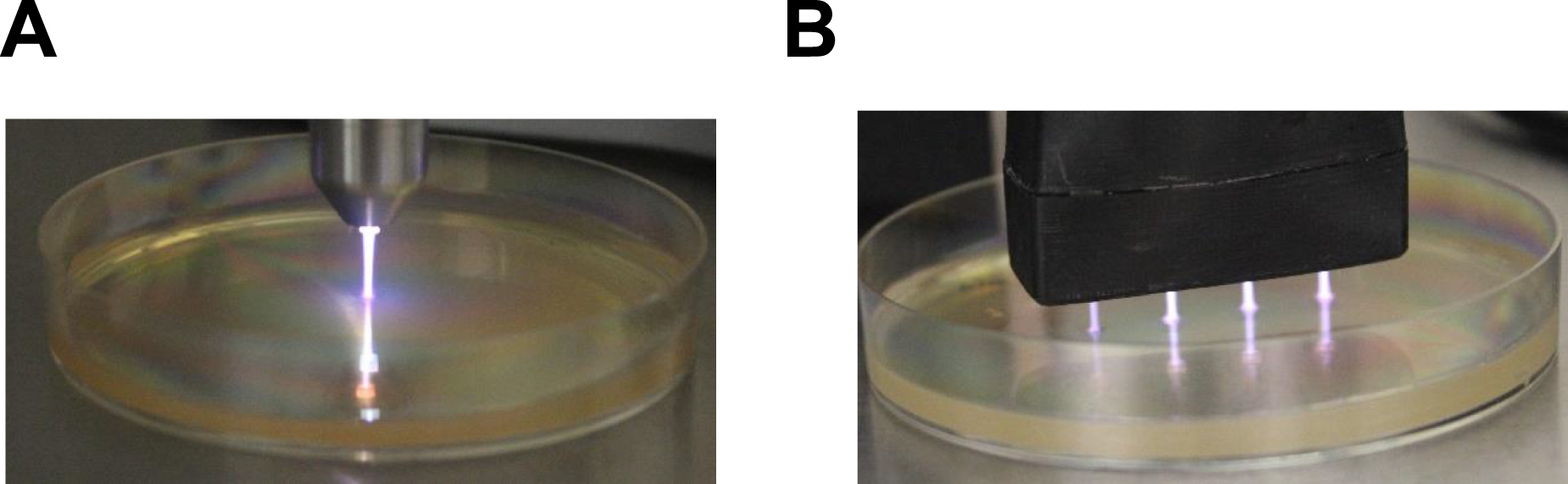 Safety and efficiency evaluation of an innovative plasma jet array in ...