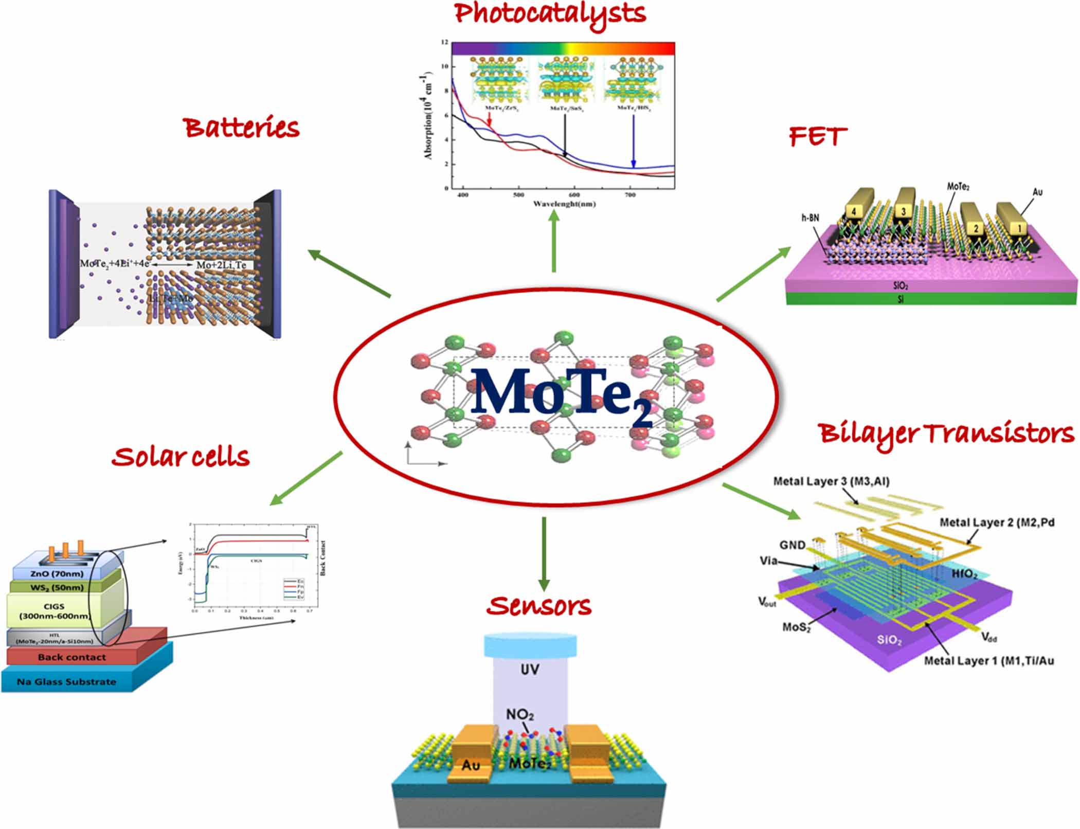 Multifunctional 2D MoTe2: Recent developments and future perspectives ...