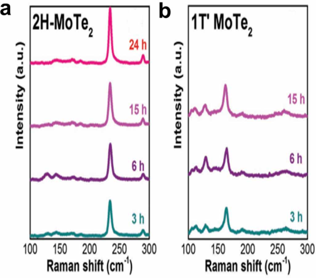 Multifunctional 2D MoTe2: Recent developments and future perspectives ...