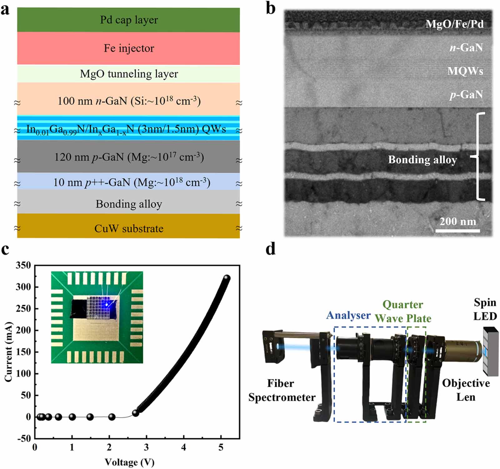 Topological meron lattice enabled GaN spin-LEDs with enhanced circular ...