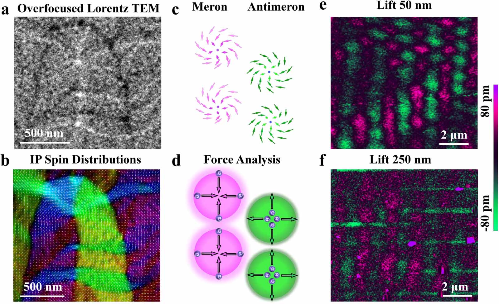 Topological meron lattice enabled GaN spin-LEDs with enhanced circular ...