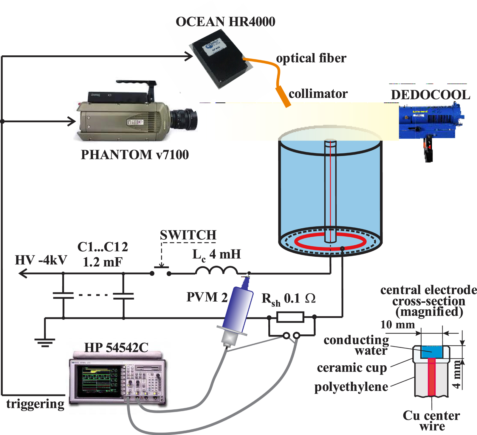 Some insights into the dynamics of long-lived atmospheric pressure ...