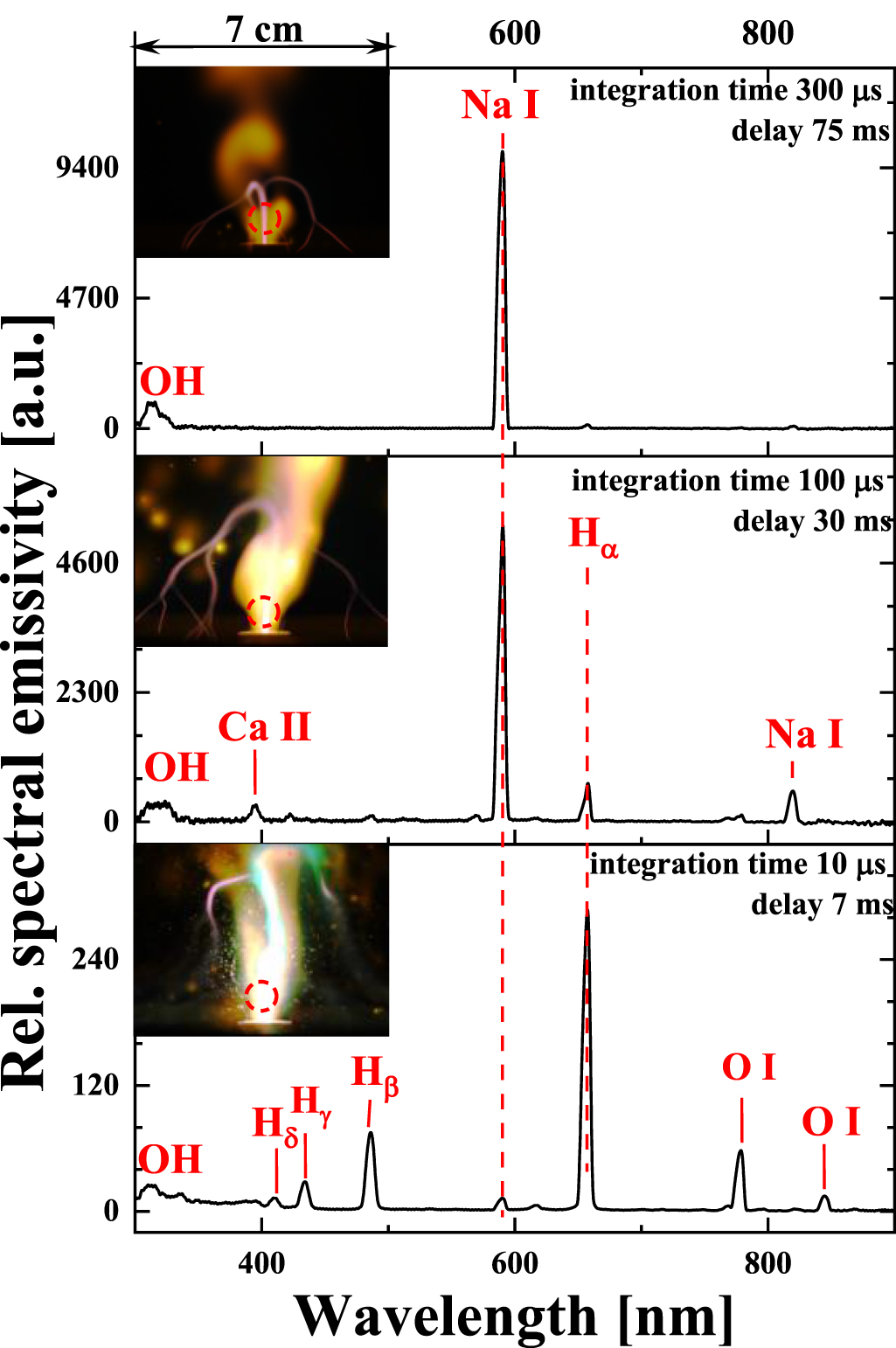 Some insights into the dynamics of long-lived atmospheric pressure ...