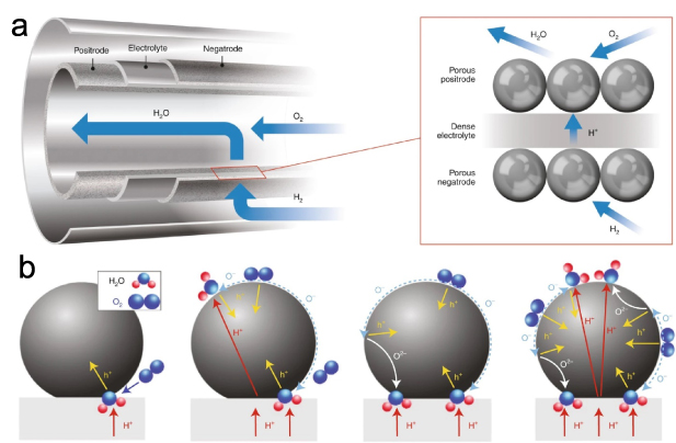 Advancing electrochemical devices: the promise of triple ionic ...