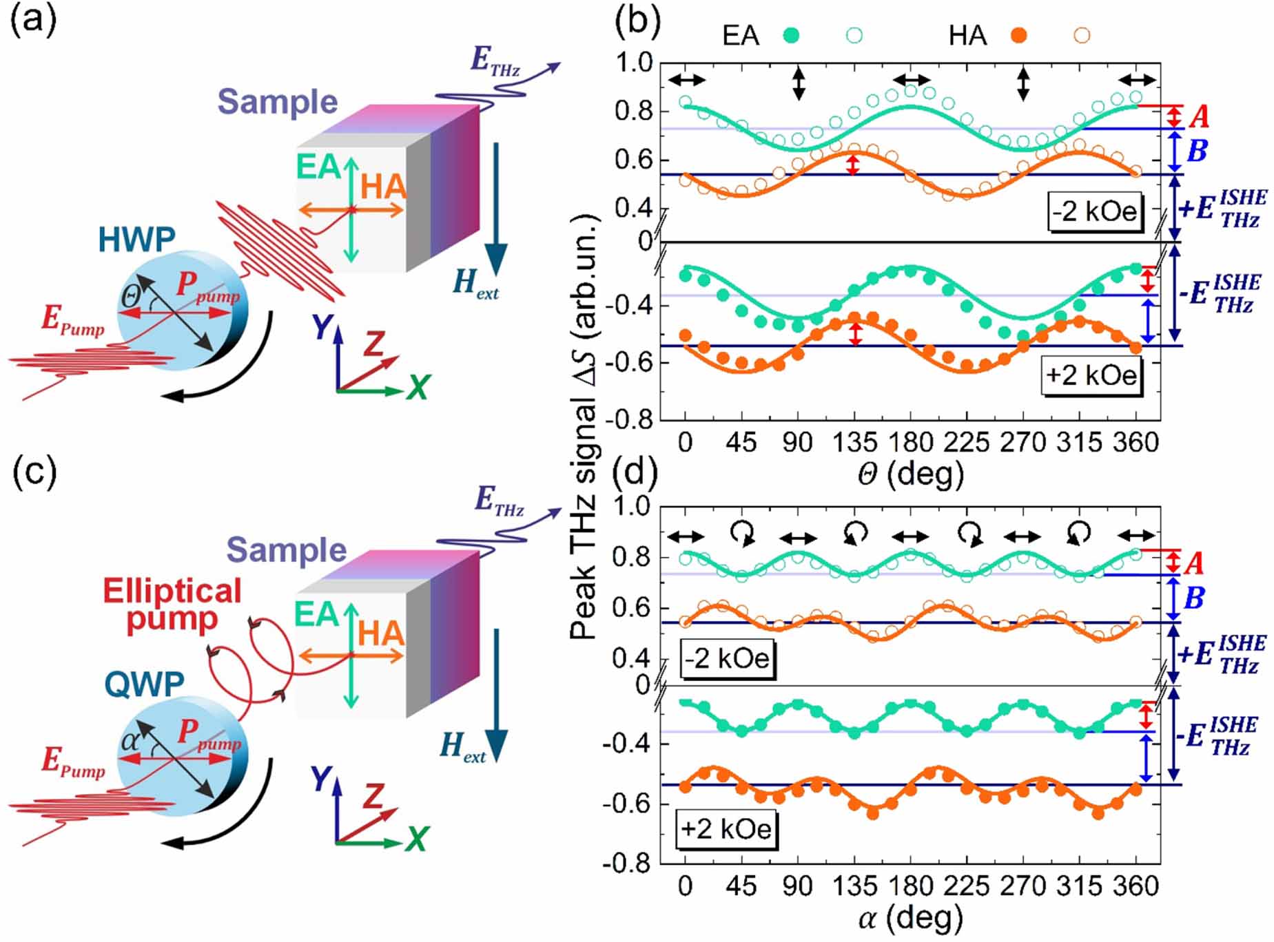 Competing mechanisms of polarization-controlled terahertz emission in ...