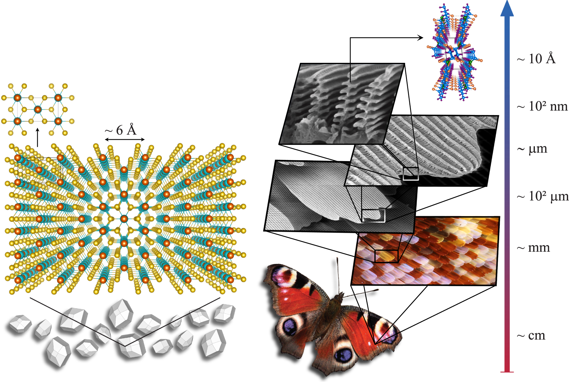 Emergent properties and the multiscale characterization challenge in ...