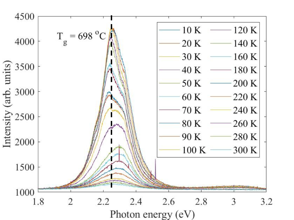 Recombination efficiency in c-plane (In,Ga)N/GaN quantum wells ...