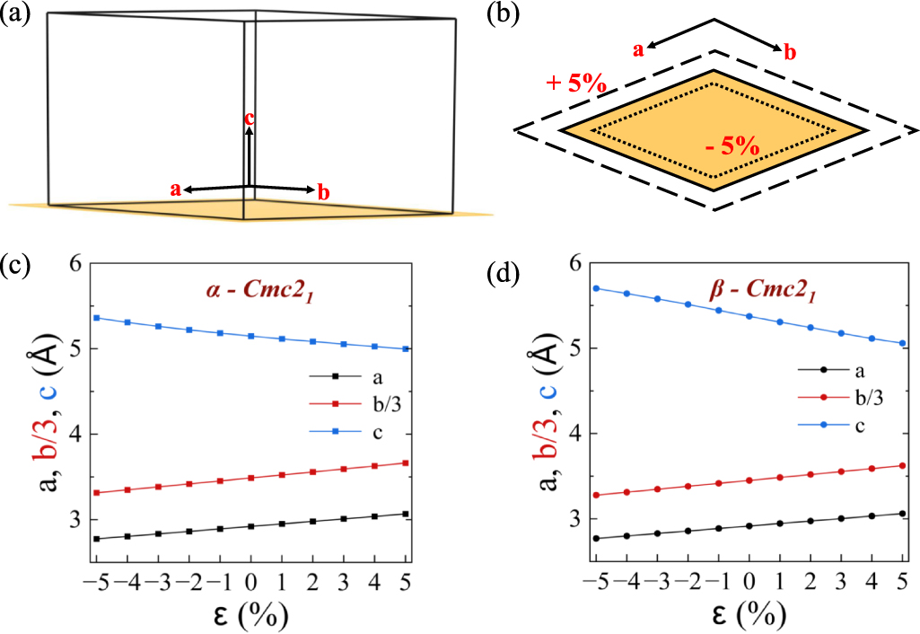 Strain induced quadratic effect on polarization and electronic ...