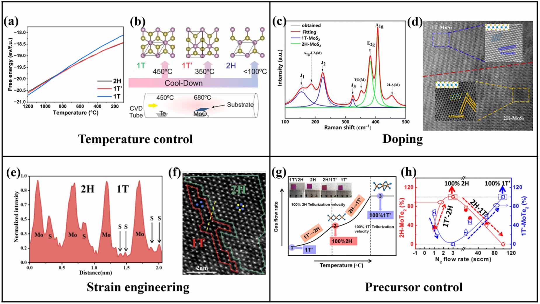 Progress in the chemical vapor deposition of 2D transition metal ...