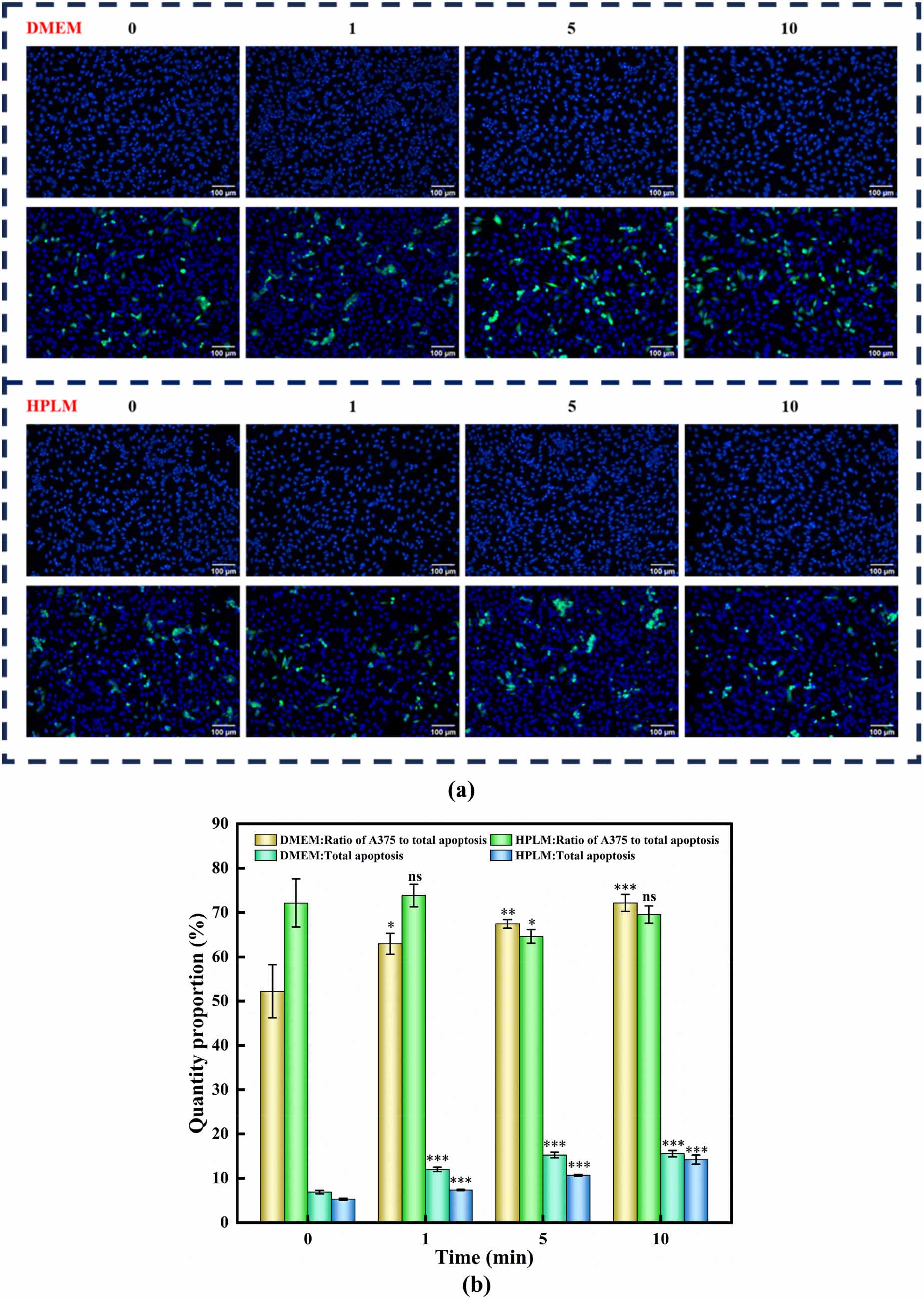 Study of the anticancer effects of microplasma treatment on PIG1 cells ...