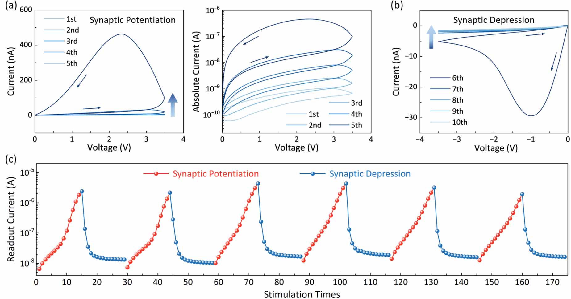 Organic lateral electronic synapse with history-dependent ...