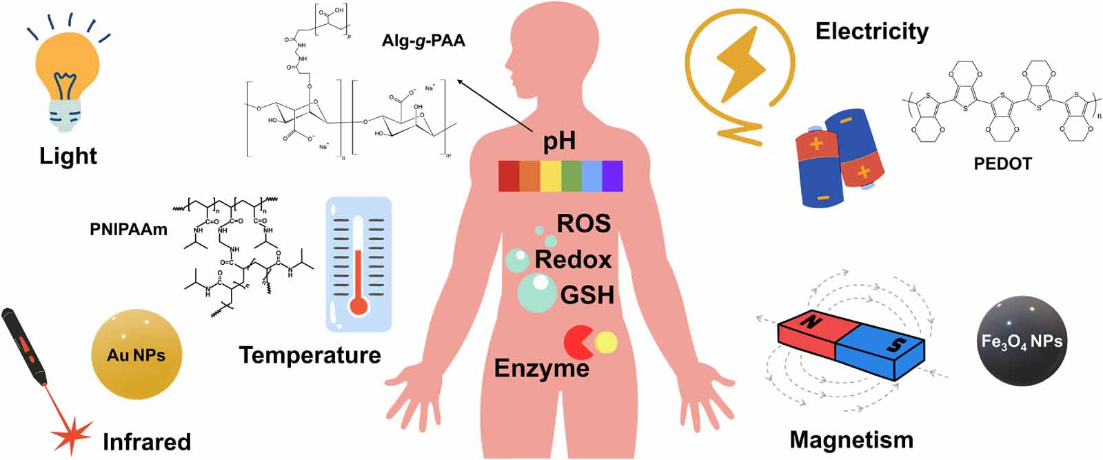 Recent advances in smart materials for cancer therapy - IOPscience