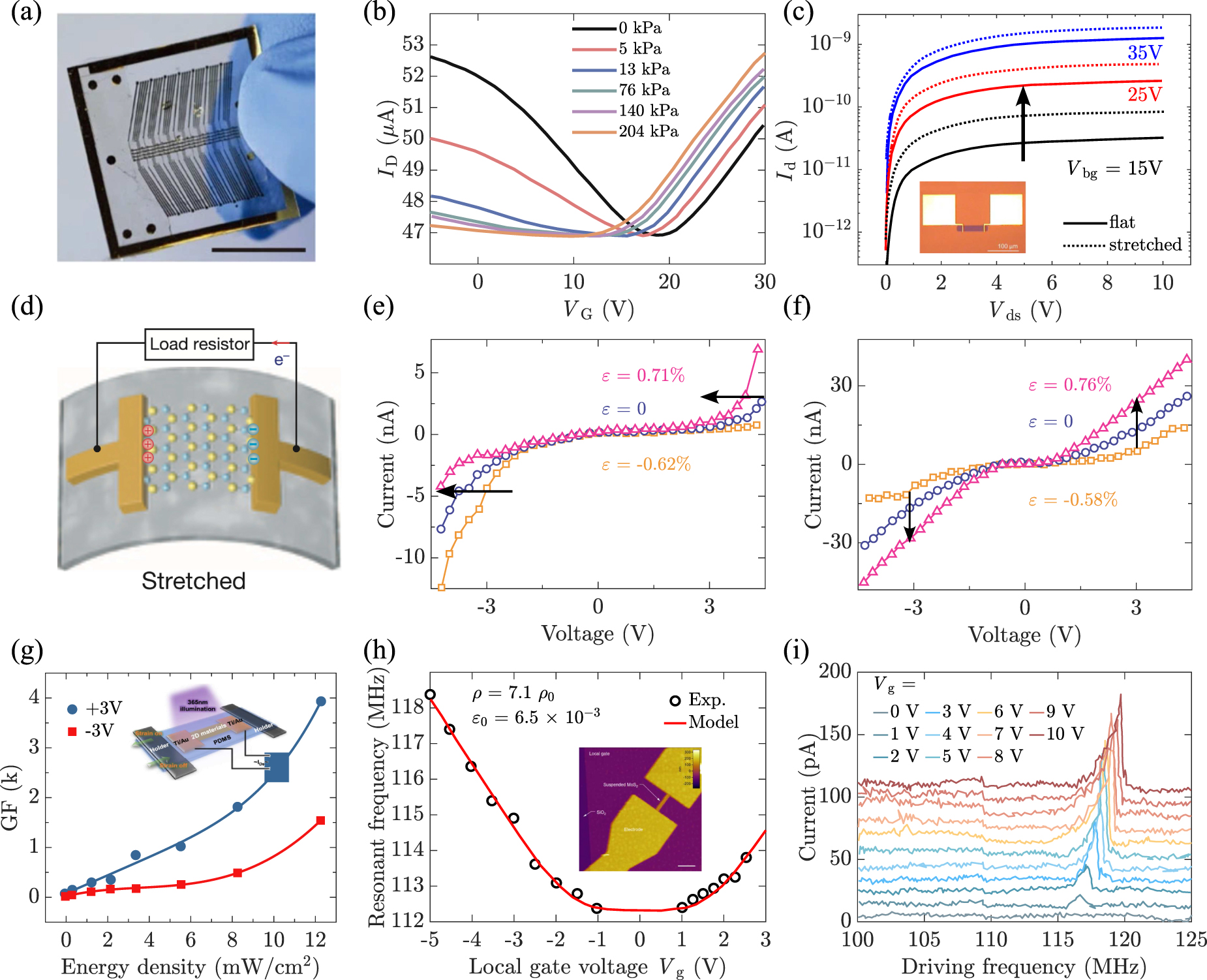 Two-dimensional field-effect transistor empowering multifunctional ...