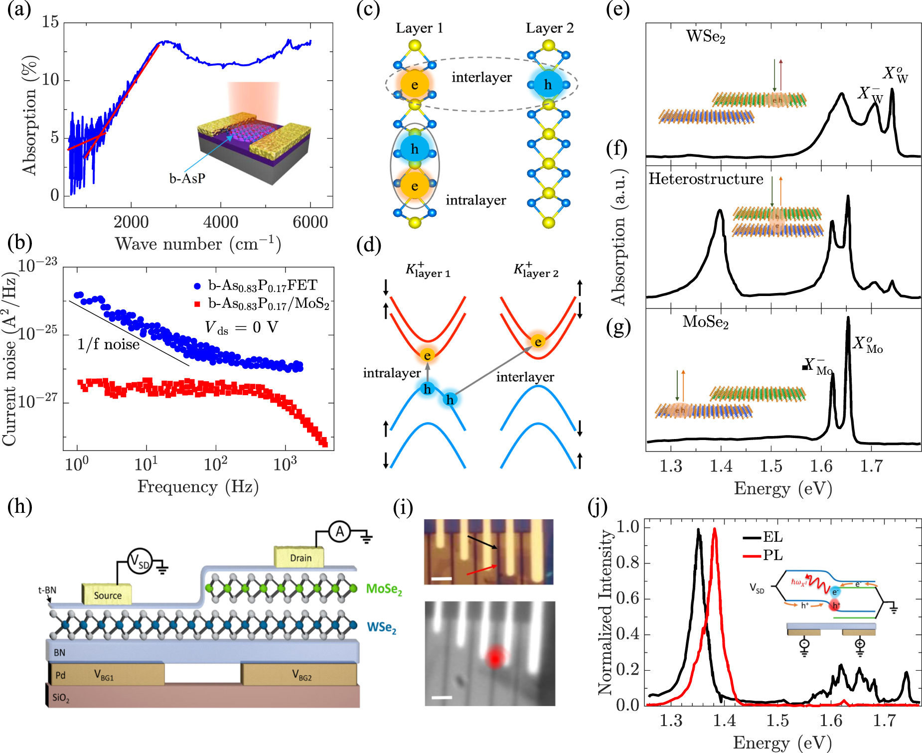 Two-dimensional field-effect transistor empowering multifunctional ...