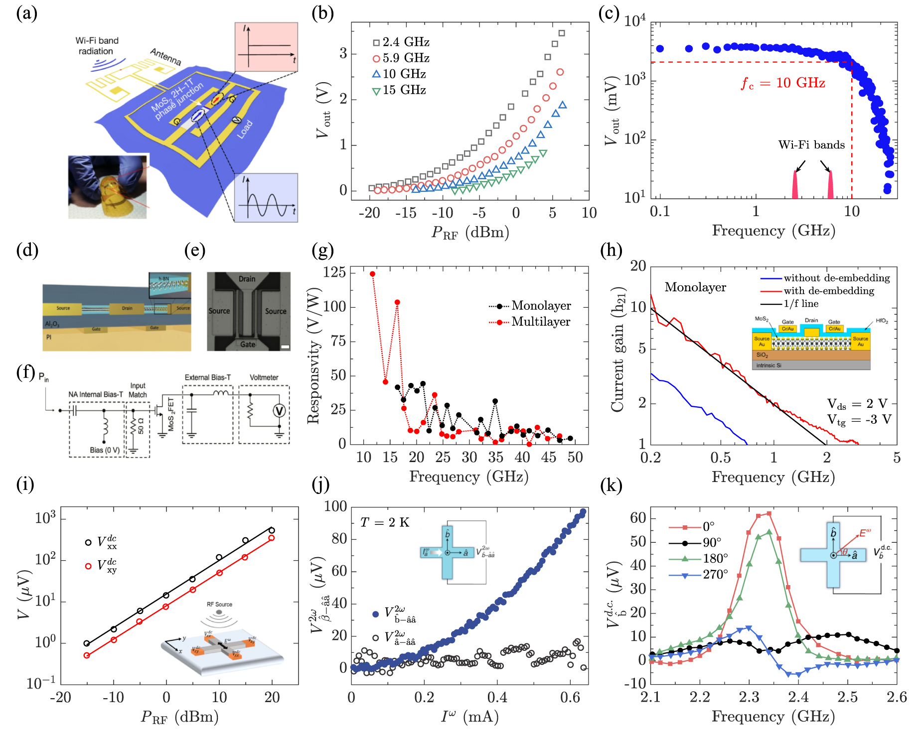Two-dimensional field-effect transistor empowering multifunctional ...