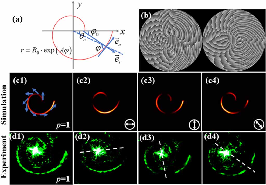 Full vector vortex beam based on multiple-degree-of-freedom modulation ...
