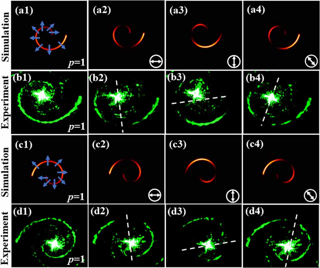 Full vector vortex beam based on multiple-degree-of-freedom modulation ...