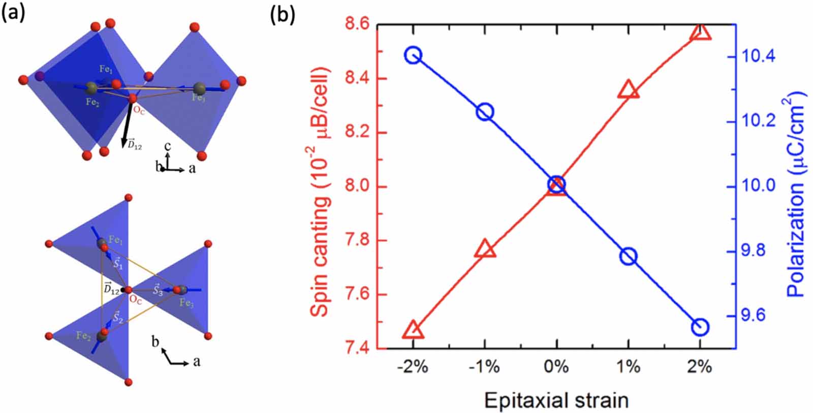 Recent progress on multiferroic hexagonal rare-earth ferrites (h-RFeO3 ...