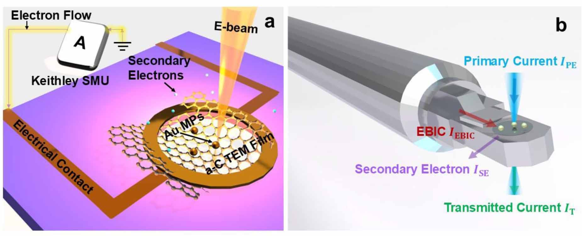 Secondary electron emission from gold microparticles in a transmission ...