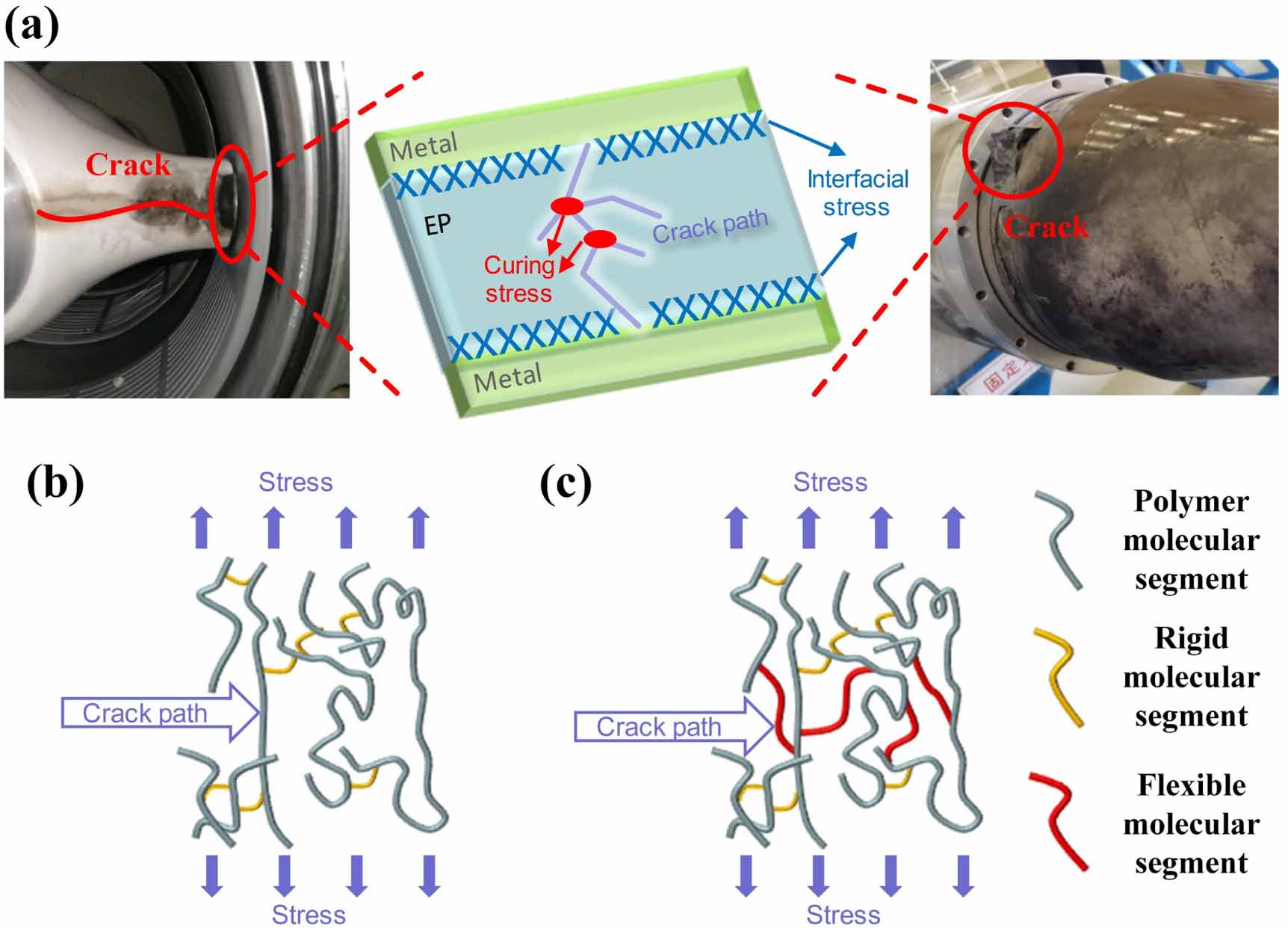 Molecular dynamics elucidating imide-mediated synergistic control of ...