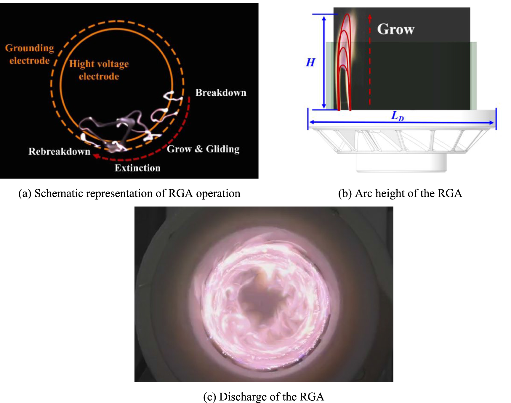 Investigation of the effects of flow field on the motion ...