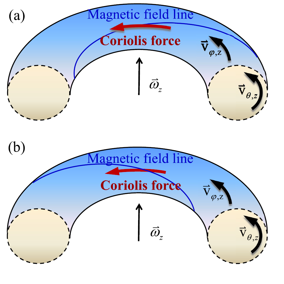In–out impurity density asymmetry due to the Coriolis force in a ...