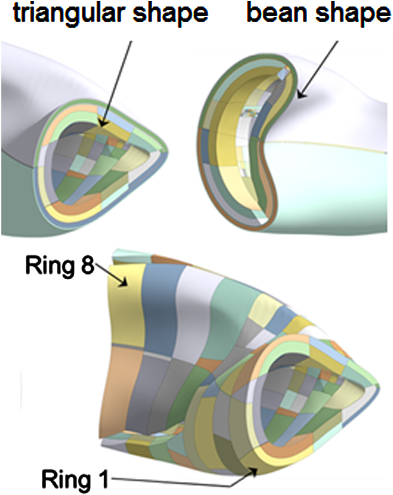 Nuclear design and assessments of helical-axis advanced stellarator ...