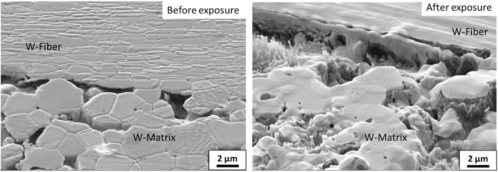 Demonstrating tungsten fiber-reinforced porous-matrix tungsten ...