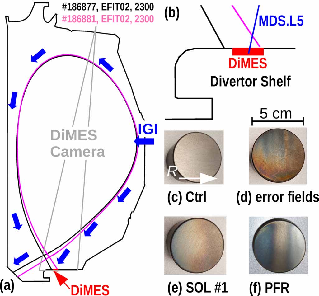 In-situ coating of silicon-rich films on tokamak plasma-facing ...