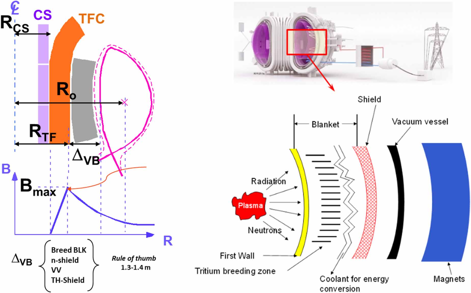 Testing needs for the development and qualification of a breeding ...