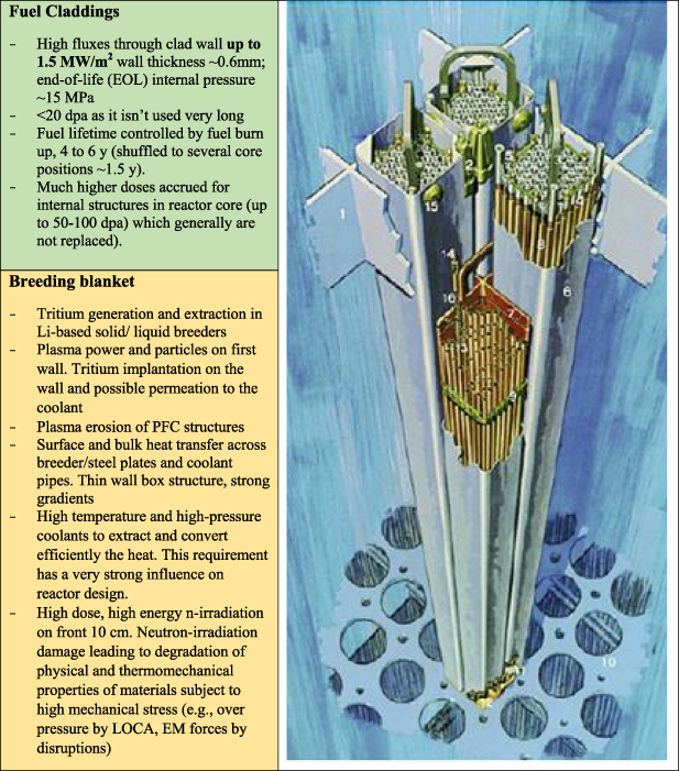 Testing needs for the development and qualification of a breeding ...