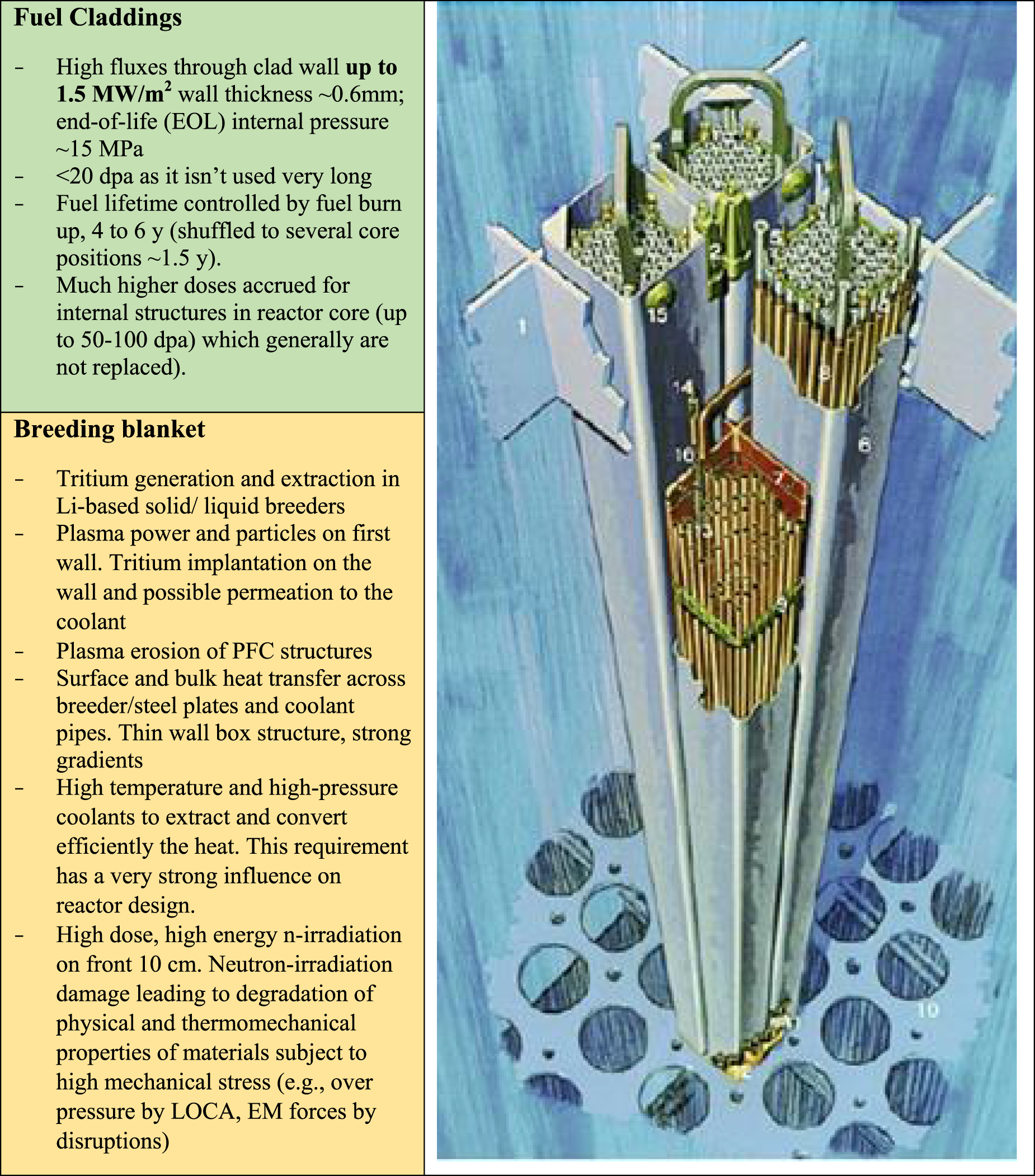 Testing needs for the development and qualification of a breeding ...