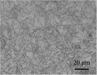 Hydrogen isotope plasma-driven permeation through RAFM steel: isotope exchange and helium ...