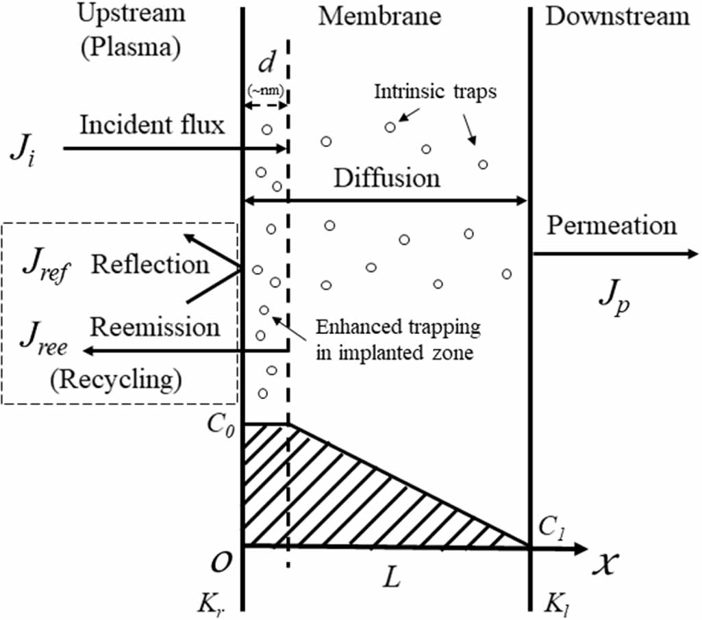 Hydrogen isotope plasma-driven permeation through RAFM steel: isotope exchange and helium ...