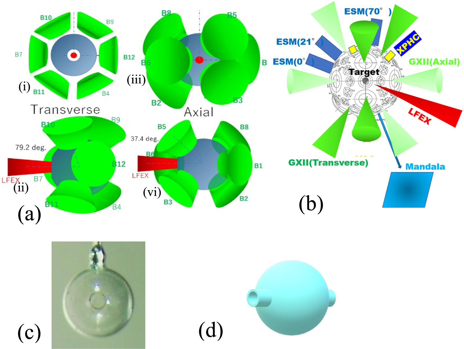 Hot electron and ion spectra on blow-off plasma free target in GXII ...