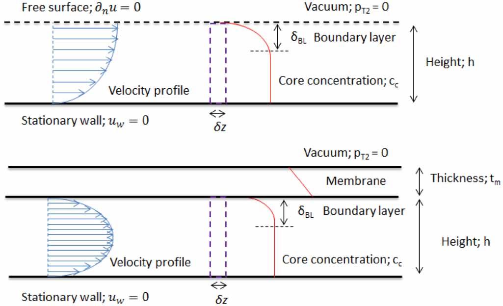 Theoretical evaluation of the tritium extraction from liquid metal ...