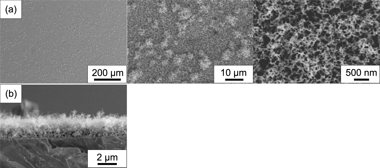 The dependence of tungsten fuzz layer thickness and porosity on ...