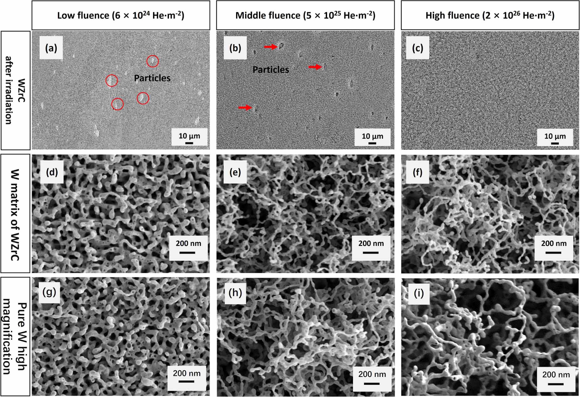 Surface modification of ZrC dispersion-strengthened W under low energy ...