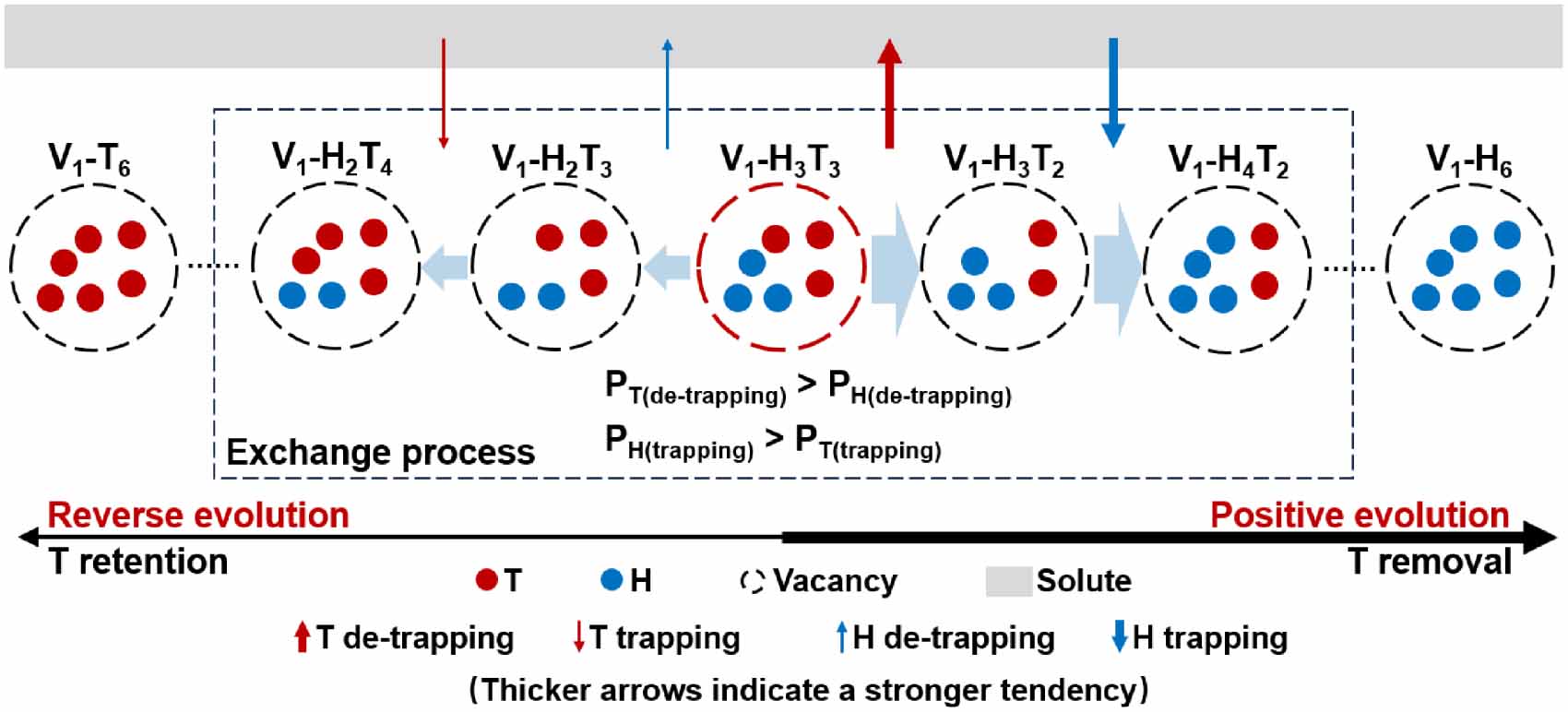 A novel mechanism and model of hydrogen isotope exchange in vacancy ...