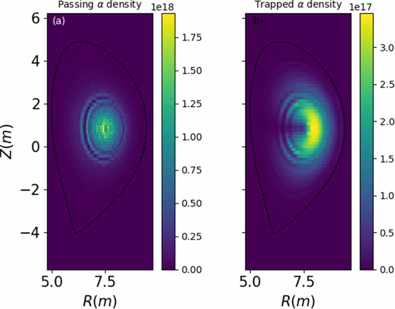 Anisotropic distribution of alpha particles in a tokamak reactor ...