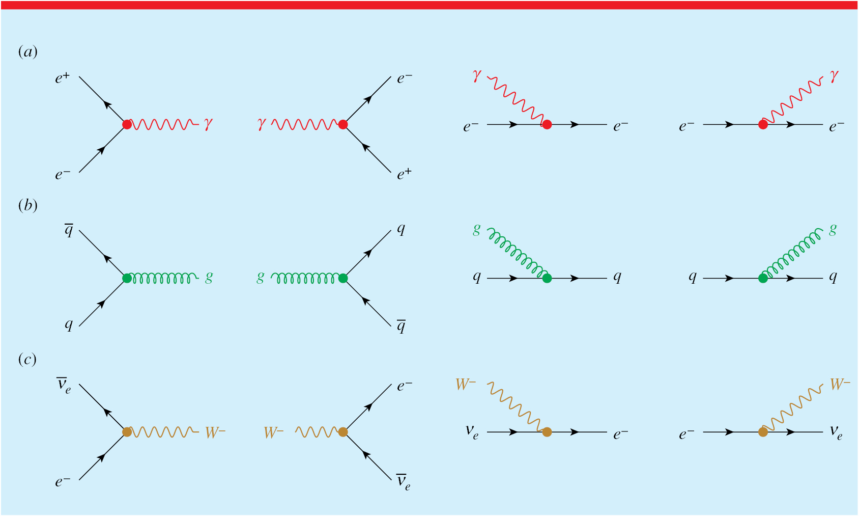 Let's have a coffee with the Standard Model of particle physics ...