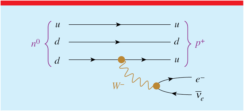 Let's have a coffee with the Standard Model of particle physics ...