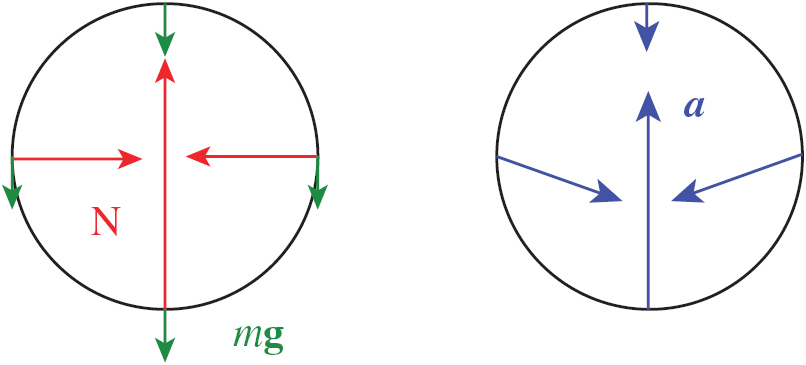 Students making sense of motion in a vertical roller coaster loop ...