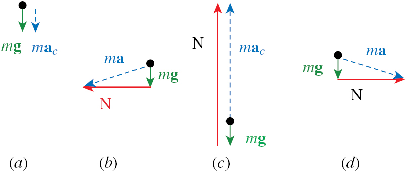 Students making sense of motion in a vertical roller coaster loop ...