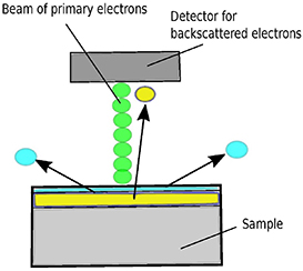 SEM for conductive and non-conductive specimens - IOPscience